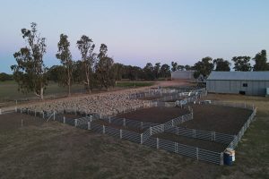 Wrangler Stockyards & Trailers: Farm Equipment & Trailers WA